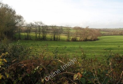 Photo 6x4 Field boundary near Nethercott Whiddon Down The line of trees ...