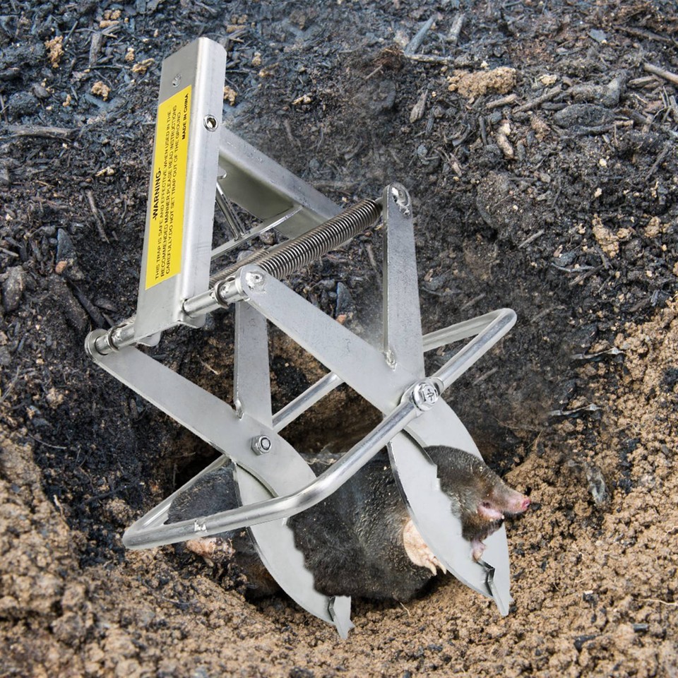 4PACKS Mole Traps Scissor Mole Gopher Rodent Control Trap Lawn Garden ...
