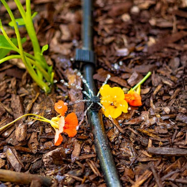 1/2 in. x 500 ft. Poly Drip Tubing Irrigation Sprinkler System Water ...