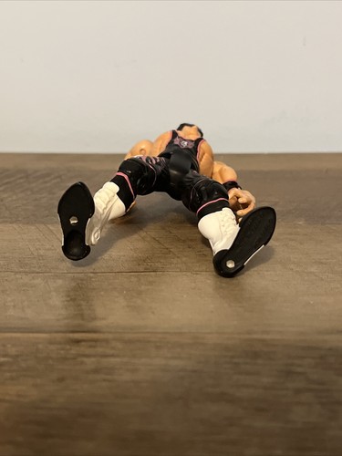 1999 WCW NWO Wrestling Action Figure - Bret HITMAN Hart - Toy Biz Ring ...