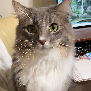 Ryan Shop | eBay Stores