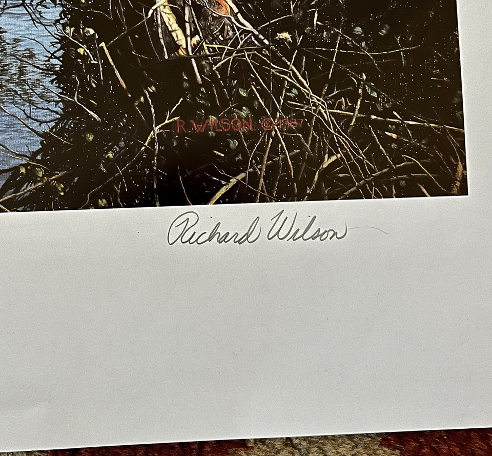 Signed & Numbered Richard Wilson Ducks Unlimited L/E Art Print 297/300 ...