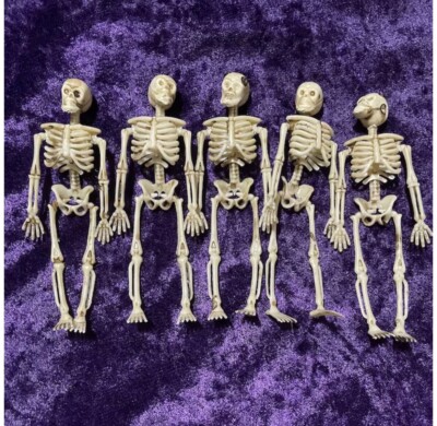 Lot 12 Mini Plastic Skeletons 6" Miniature Small Halloween Cemetery ...
