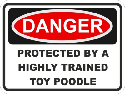Toy Poodle Dog Danger Warning Sticker / High Resolution Vinyl ...
