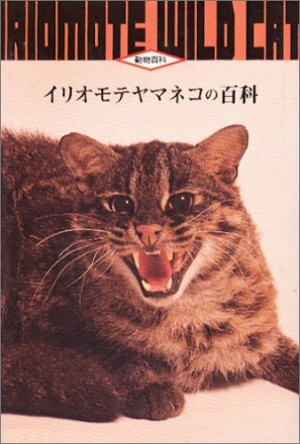 Iriomote Cat Book Japan Endangered Species Wildlife Photo Encyclopedia ...