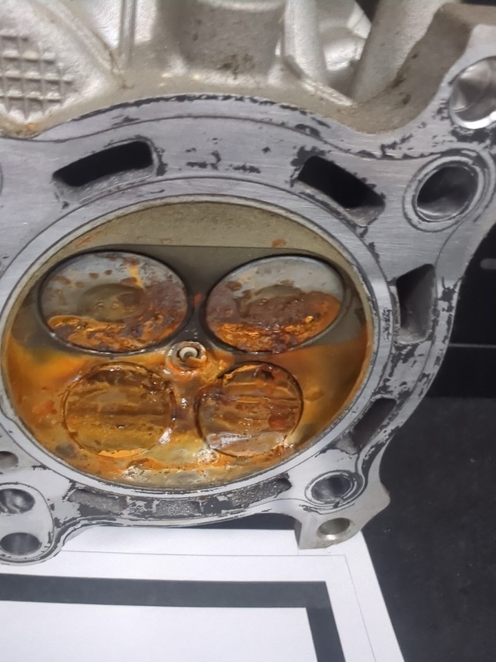 Arctic Cat Wildcat XX Complete Cylinder Head part# 3021-861 | eBay