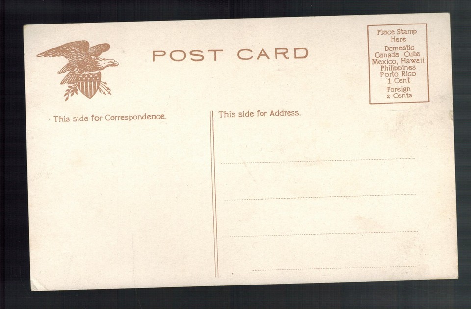 Mint PPC Picture Postcard Cover Native American Indian Chief Flying ...