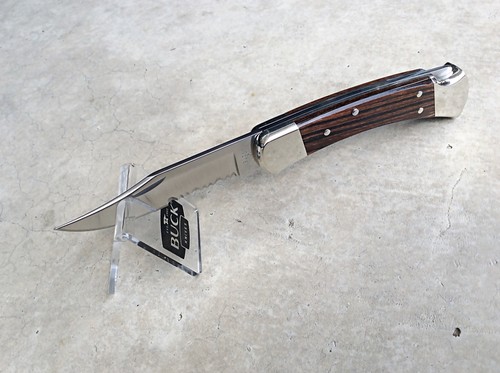 Buck 110 Hunter Knife - Nickel Silver & Ebony Partially Serrated 420HC ...