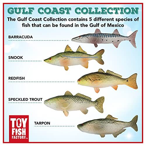 Gulf Coast Collection Toy Fish Set | Barracuda Toy Fish | Fish ...