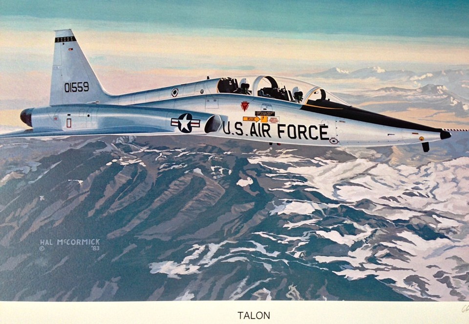 Aviation Art Print TALON - U.S. Air Force - Signed & Numbered by Hal ...