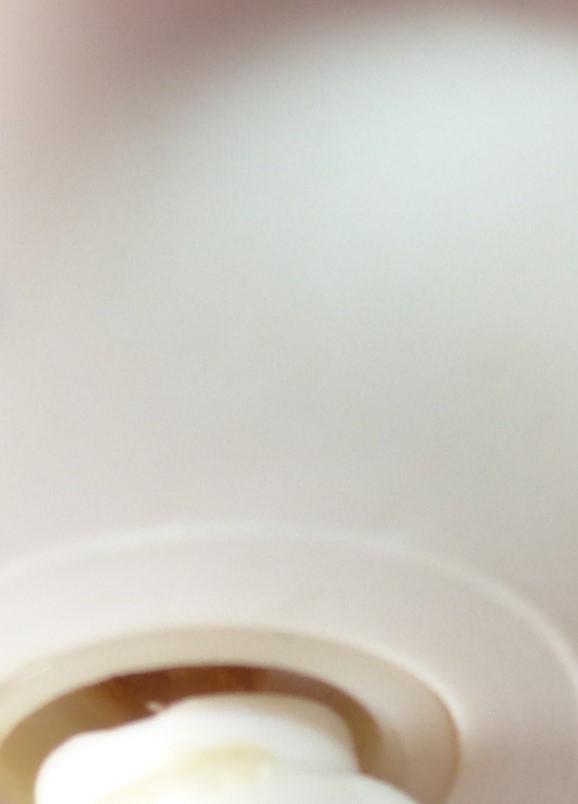 authentic littlest LPS petshop LPS 647 ours polaire polar bear pet shop ...