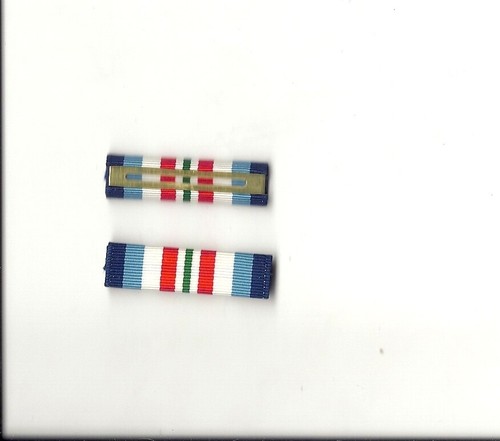Homeland Security Service Award medal ribbon bar DSM | eBay