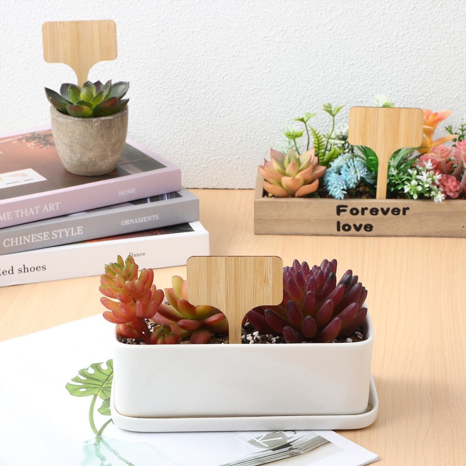 25 Pcs Double Sided Wooden Plant Labels T Shape with Marker Pen for ...
