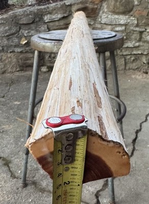 65” Eastern Red Cedar Bow Stave/ Bow Making Wood/ Bow Staves/ Juniper ...