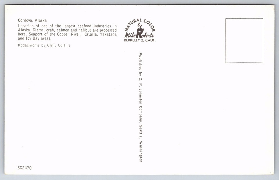 Aerial View of Cordova, Alaska Copper River Katalla Icy Bay Chrome ...