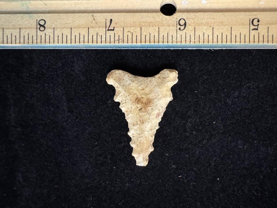 Hardaway Side Notched Arrowhead Arrowheads Point Paleo Indian Artifact ...
