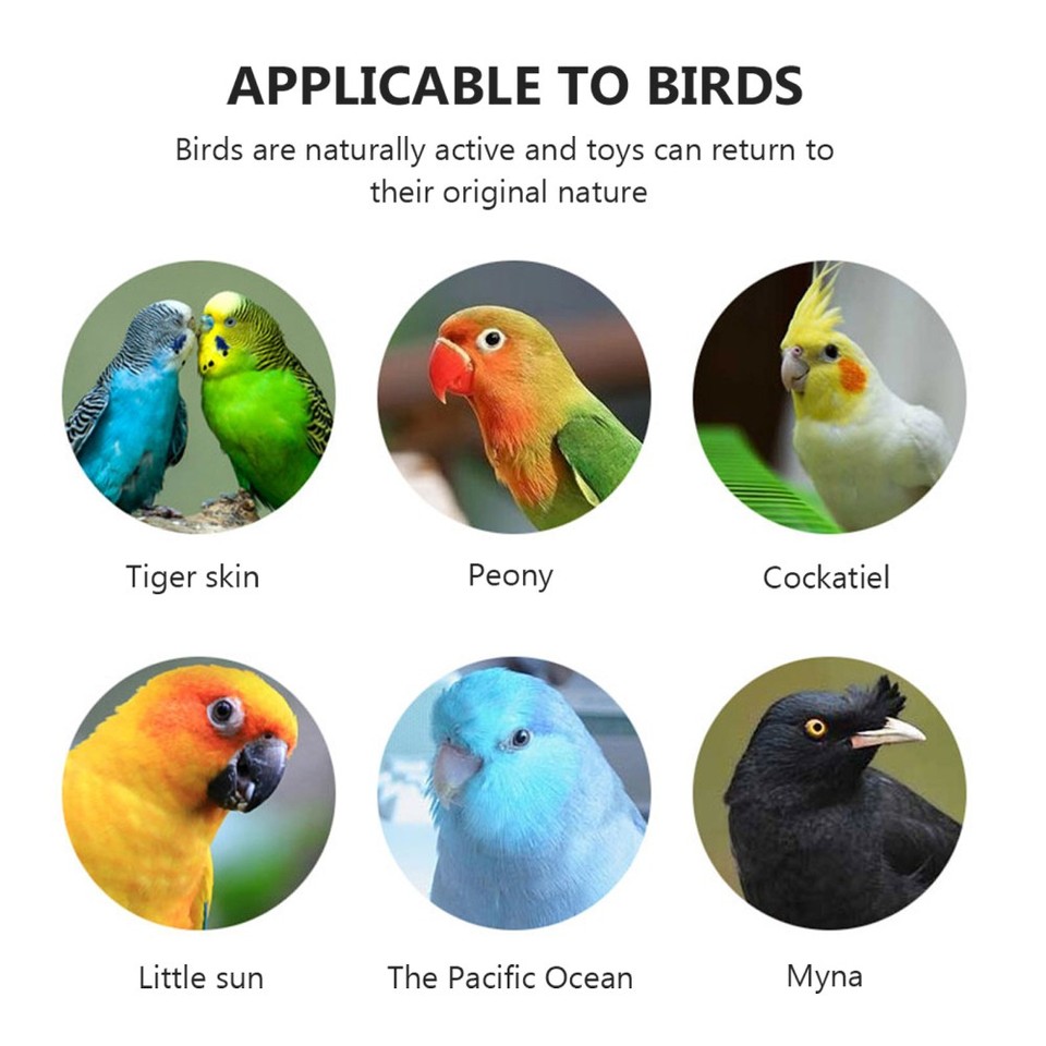 10 Pcs Pet Bird Toys Parrot for Parrots Rope Chewing Wind Chime Chase ...