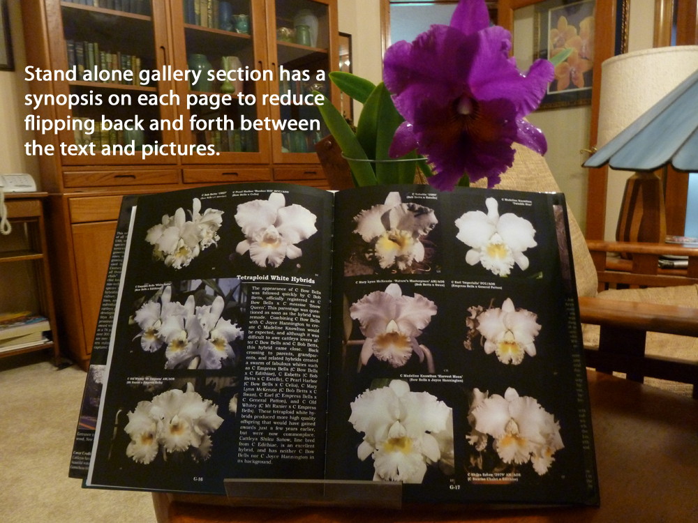 American Cattleyas : Species and Outstanding Clones That Define ...