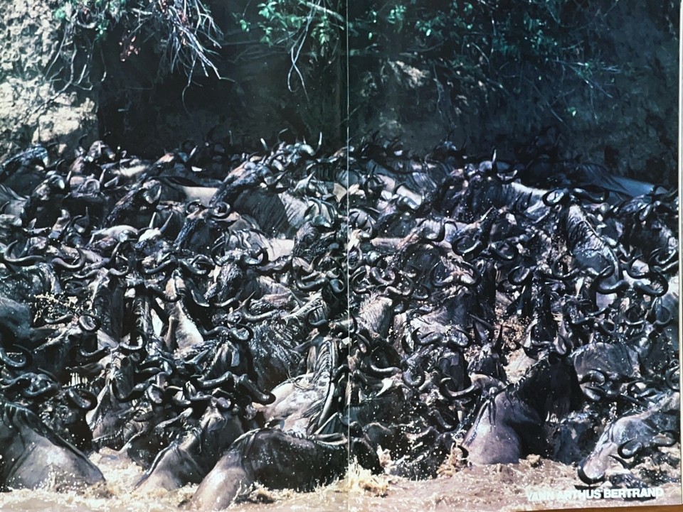 PHOTO JAPON Oct 1986 Vol.10 “Man on the Earth” – Final Issue | Richard ...