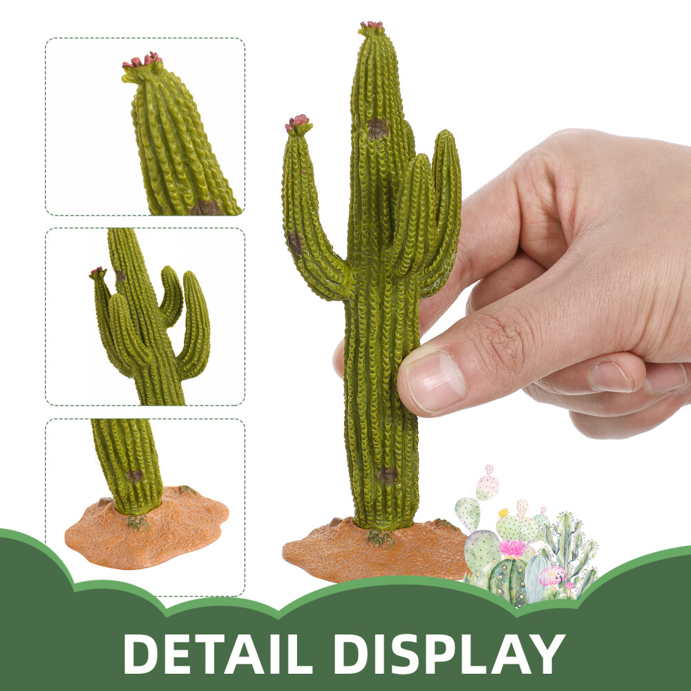 2 Pcs Cactus Model Planta Artificial Household Decorations Plants | eBay