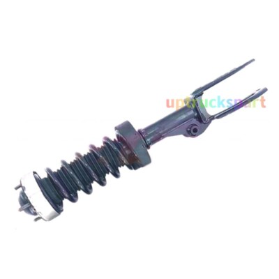 Front Left Shock Strut Assembly for Porsche Cayenne 92A 958 11-18 ...