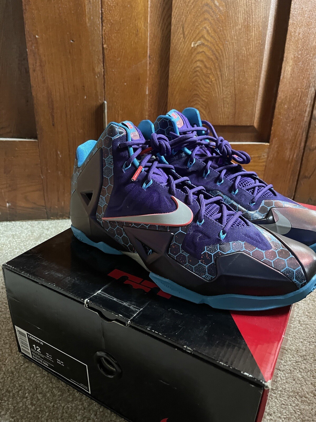 Lebron 12 Hornets
