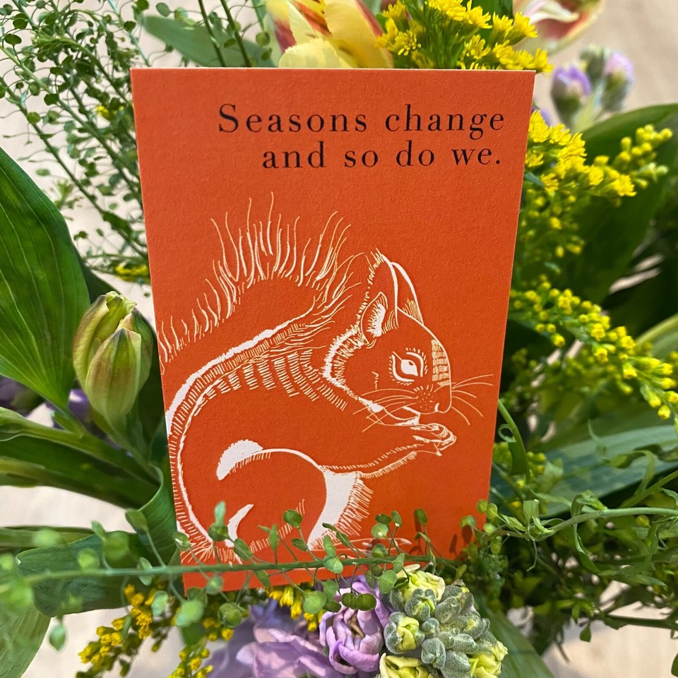 20 Autumnal Be Kind Cards® Seasonal Quotes | eBay UK