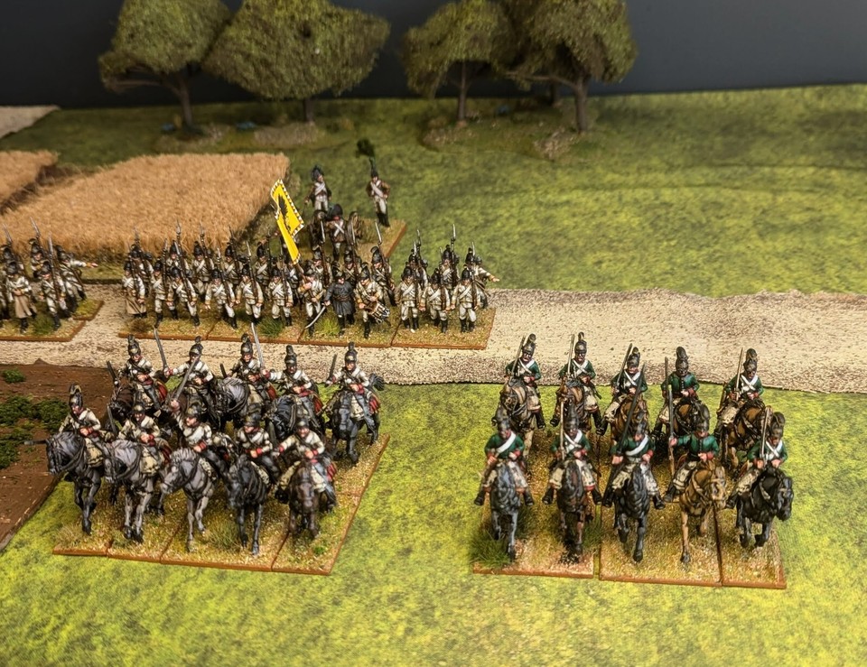 Pro Painted 28mm Perry Miniatures Napoleonic Austrian Army 140 ...