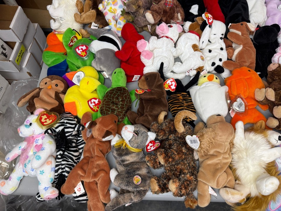 ~~LOT OF 130 TY BEANIE BABIES COLLECTION - RARE & HTF BEANIES | eBay