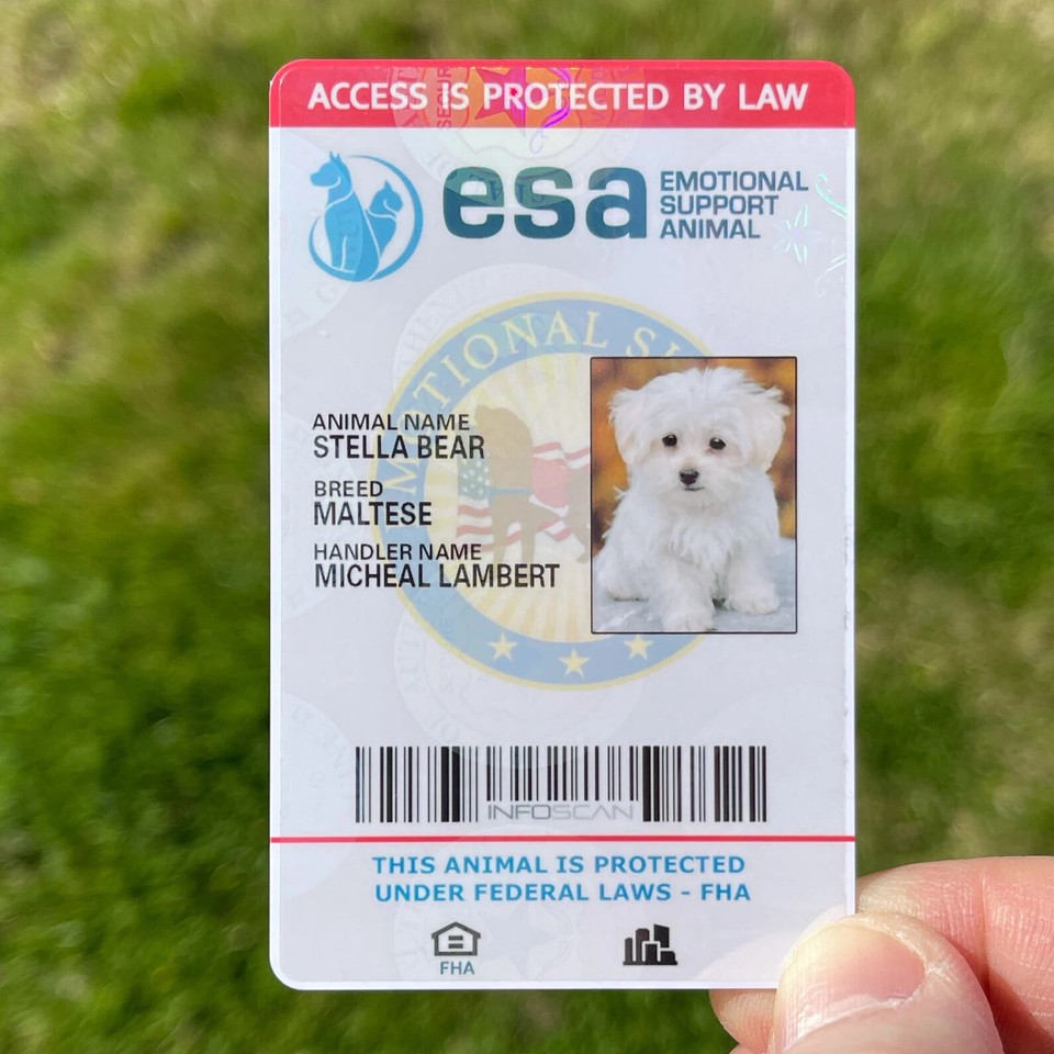 ESA ID CARD FOR EMOTIONAL SUPPORT DOG / CAT ANIMAL / SERVICE DOG ...