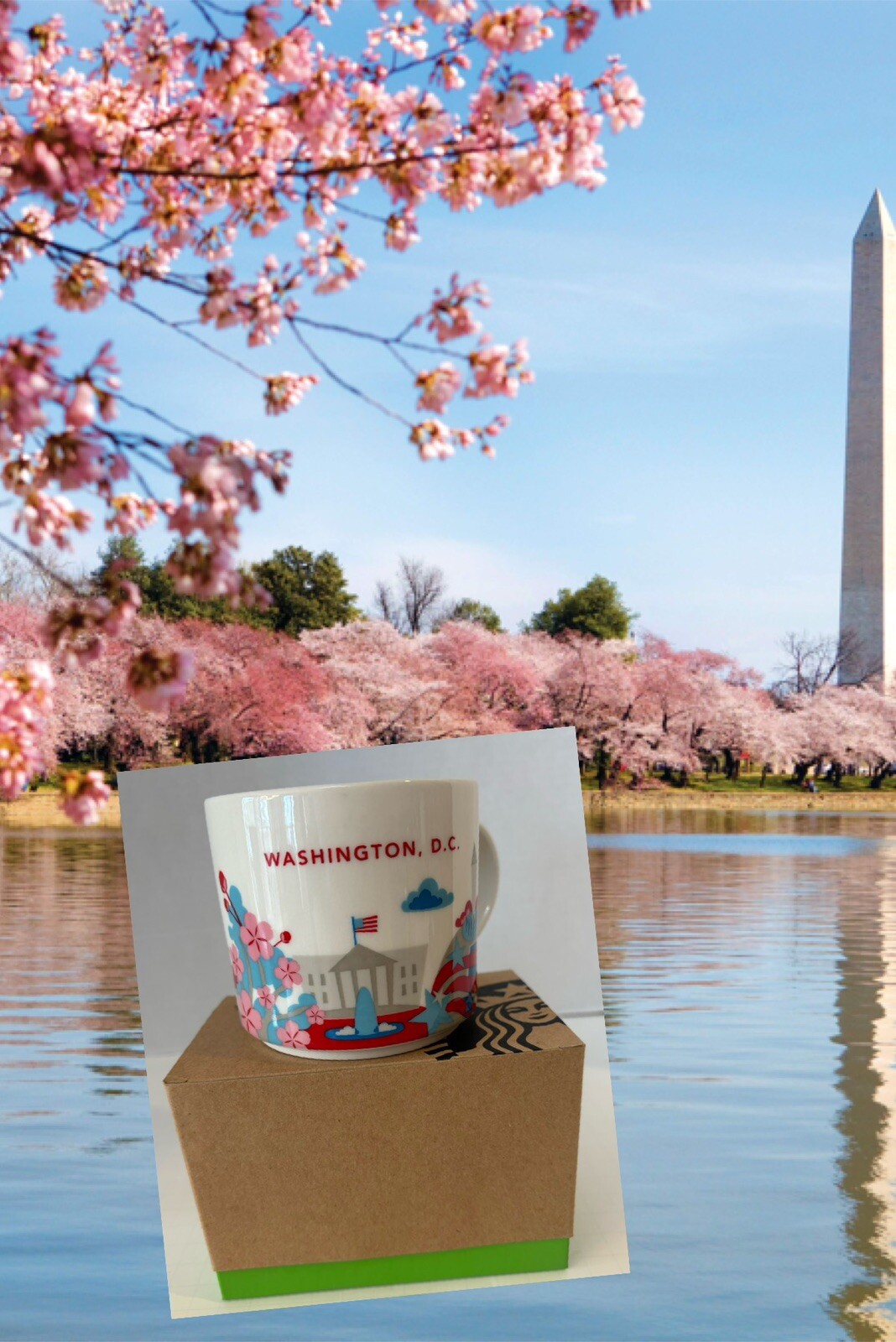 Starbucks You Are Here Collection Washington D.C. Coffee Mug Cherry Tree 2015 | eBay