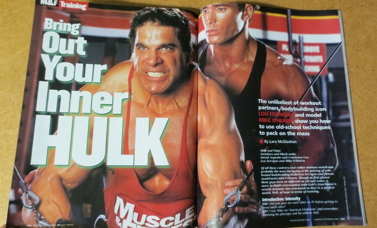Lou Ferrigno Hulk 2003