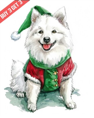 American Eskimo Dog in an Elf Costume Watercolor Painting Print 8x10 | eBay