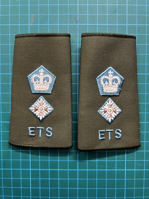 Lt Col Lieutenant Colonel ETS Rank Slides | eBay UK