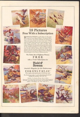 1933 FIELD STREAM PAINT ART LYNN BOGUE HUNT EDWARD HOWE FORBUSH ...