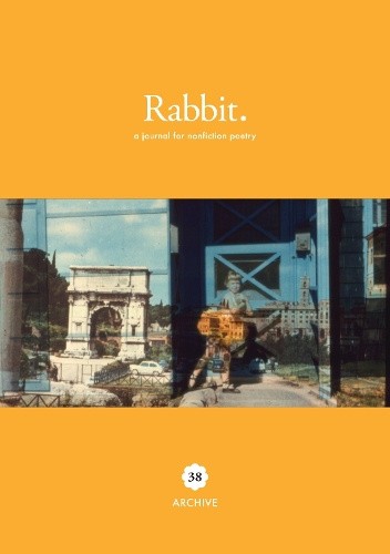Rabbit Poetry 38: Archive by Jessica L. Wilkinson [Paperback] NEUF | eBay