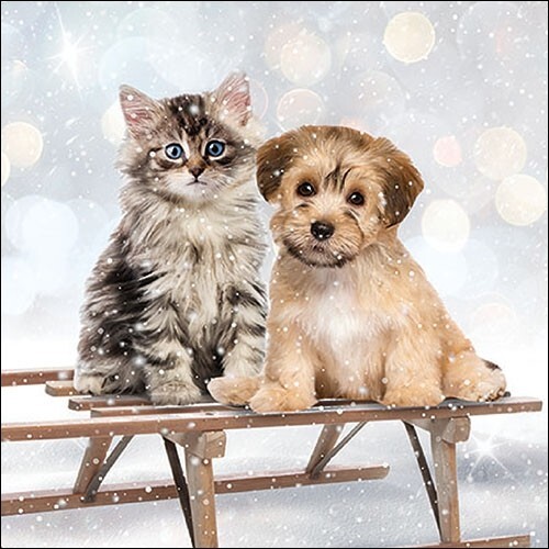 3 Servietten ~ Hund mit Katze auf dem Schlitten Winter Schnee | eBay.de