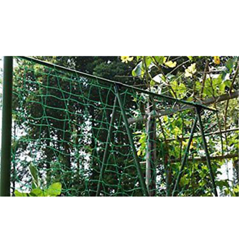Garden Green Nylon Trellis Netting Support Climbing Bean Plant Nets ...