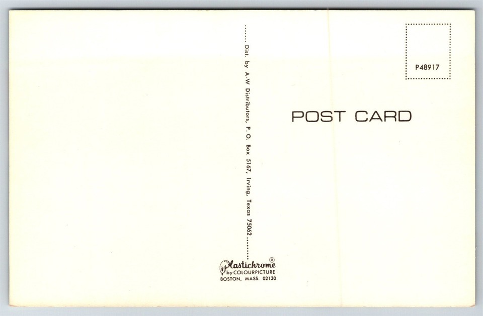 Multi View Hello From Texas Lone Star State Oil Cattle Alamo Law ...