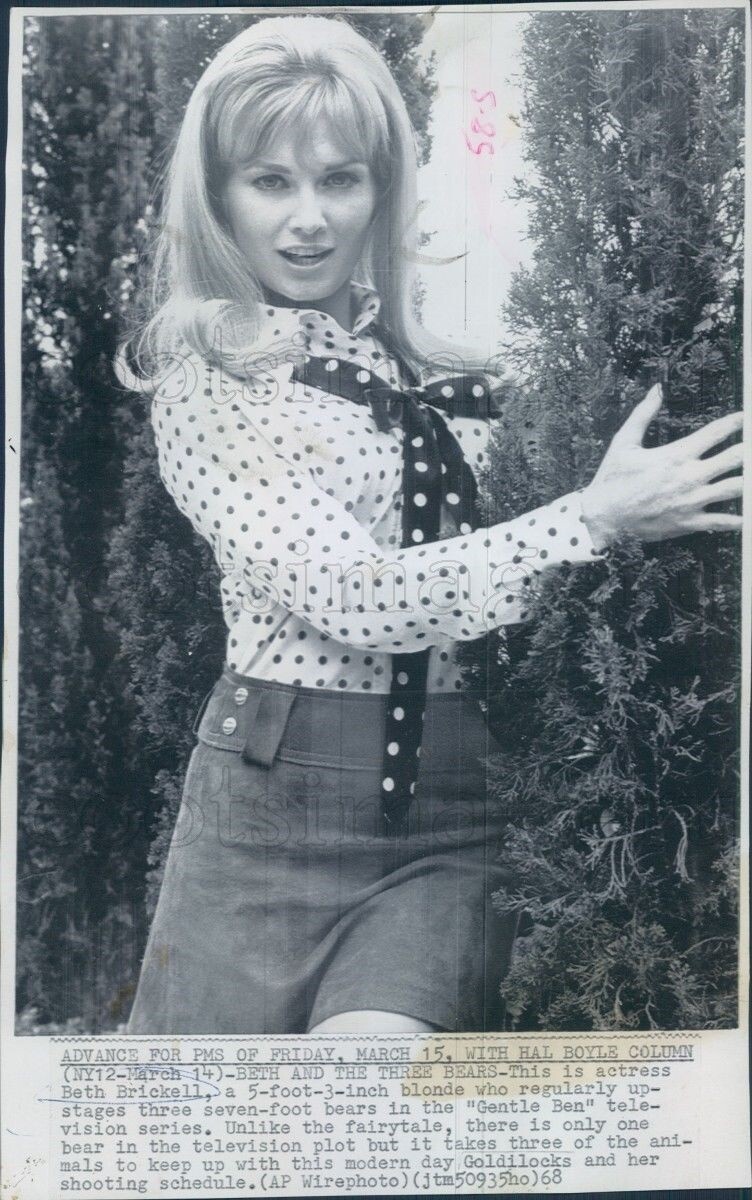 1968 Pretty Blond Actress Beth Brickell 1960s Gentle Ben TV Press Photo ...