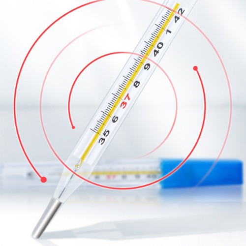 1 PC Glass Accuracy Thermometer Mercury-Free Dual Scale Classic ...