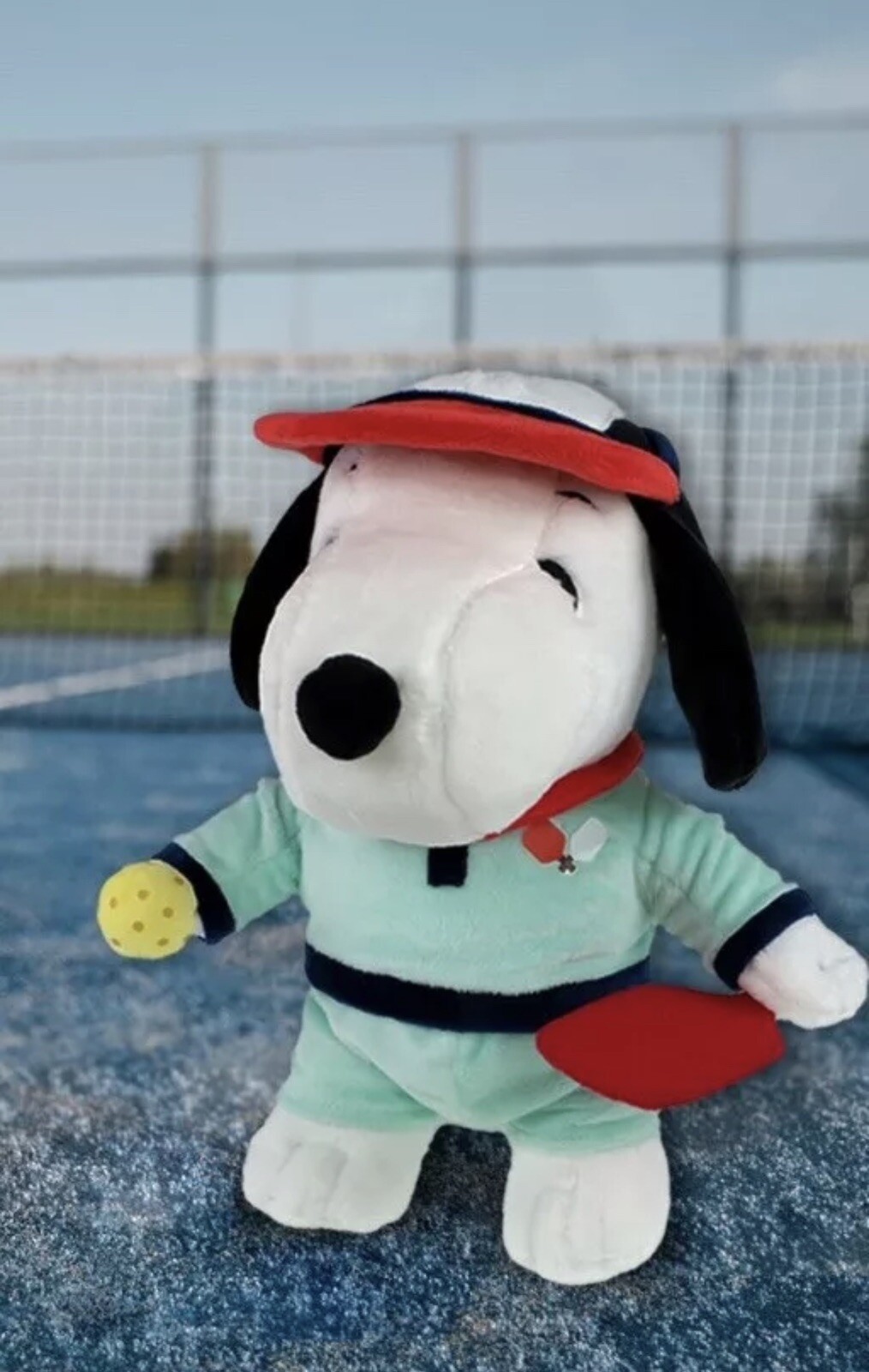 PICKLEBALL SNOOPY 2024 Peanuts CVS SUMMER | Grelly USA