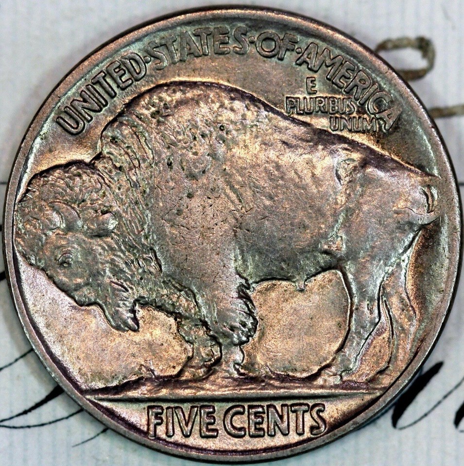 1914-P SOLID+ GEM BU MS BUFFALO NICKEL DC76 FROM COLLECTION | eBay