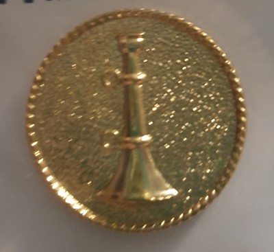 Lieutenant Gold Fire Collar Brass Chain of Command Firefighter 11/16 4 ...