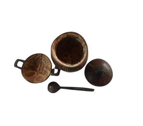 Coconut Shell Salt Container Spoon Handmade Eco Friendly Natural ...