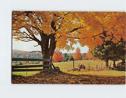 Postcard A Typical New England Fall Scene USA North America | eBay