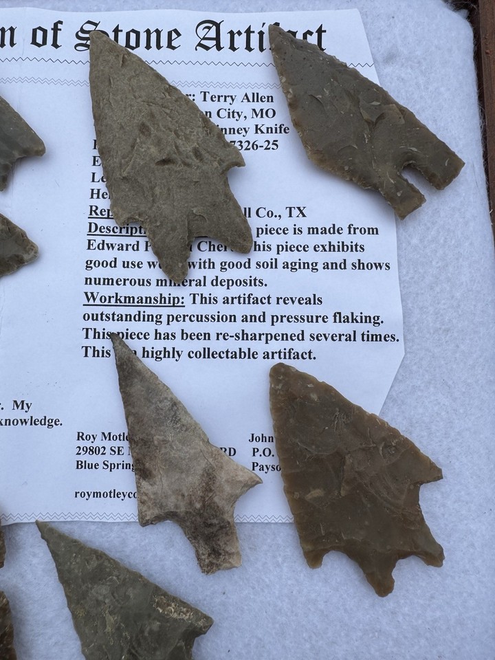 Framed Collection Of 8 Native American Texas Arrowheads Artifacts COA ...