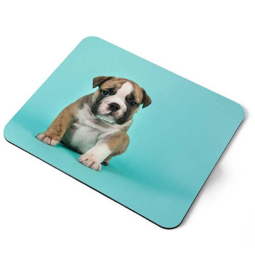 Mouse Mat Pad - English Bulldog Puppy Dog Bull Laptop PC Desk Office ...