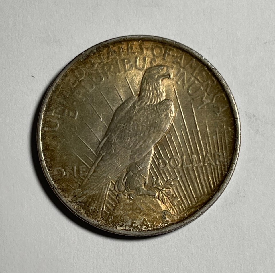 Error 1923 Peace dollar (#17328) Massive Planchet defect on obv. | eBay