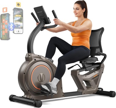 Niceday Recumbent Exercise Bike, Recumbent Bike for Home, Recumbent ...